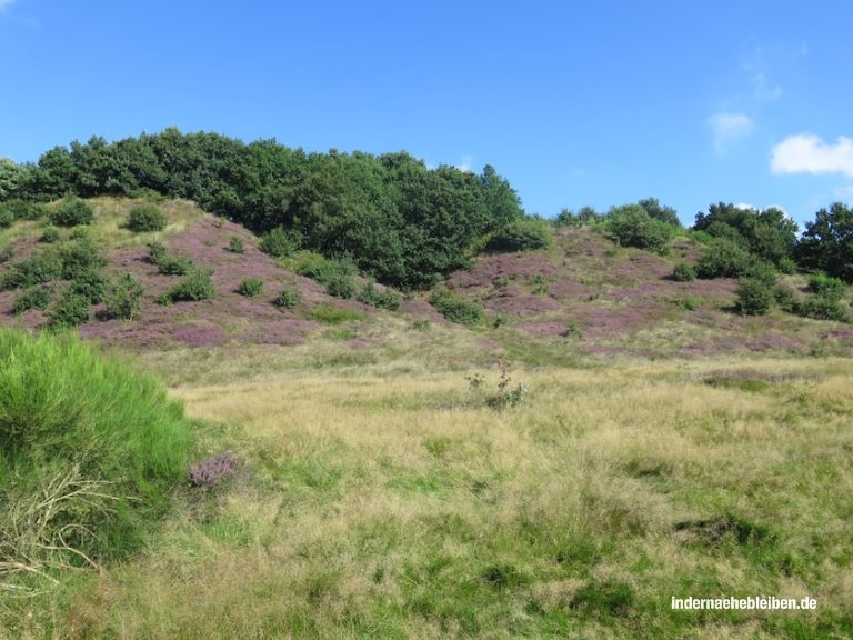 Dithmarschen und das Meer